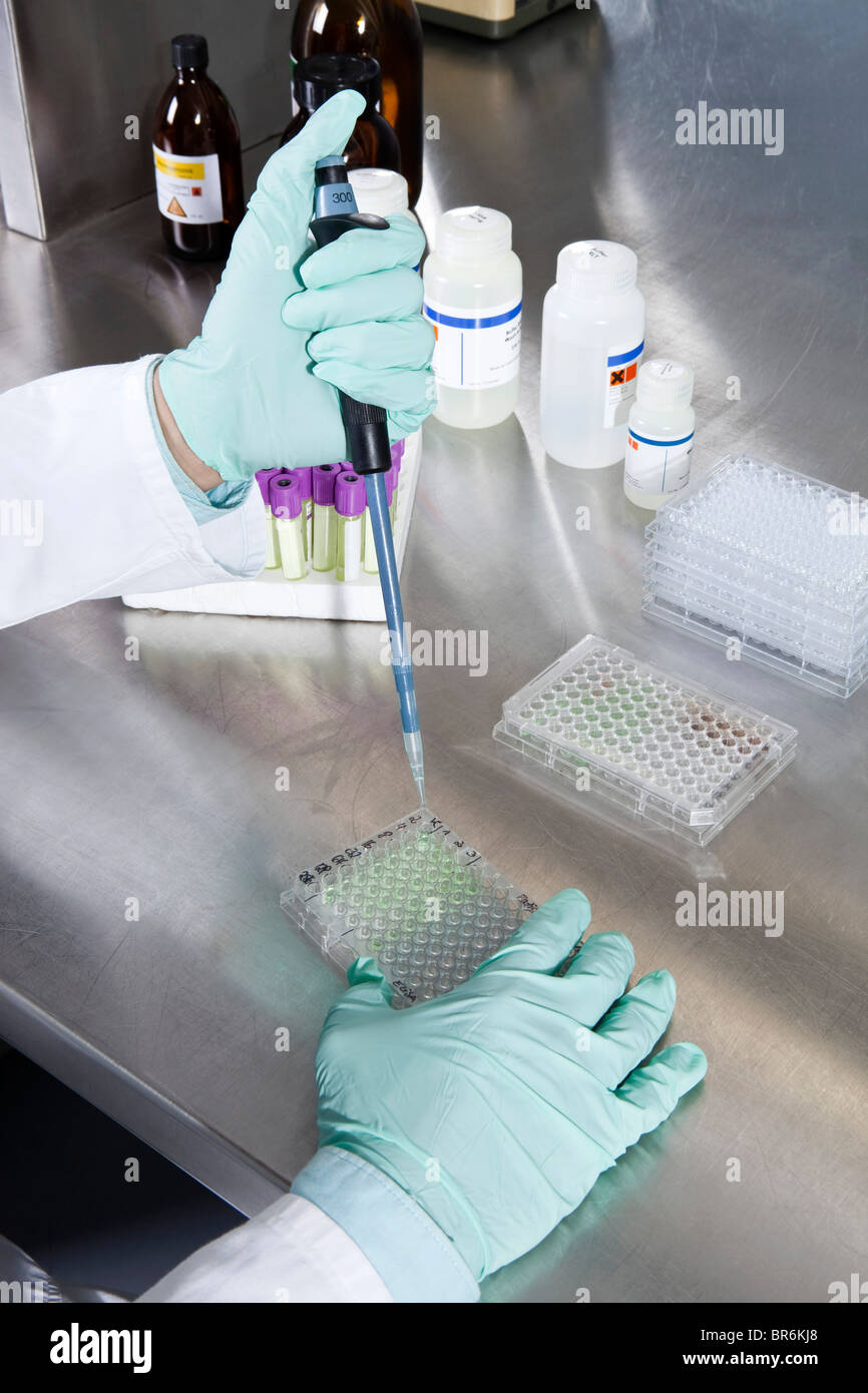 A lab technician using a dropper to put samples into a tray of test ...