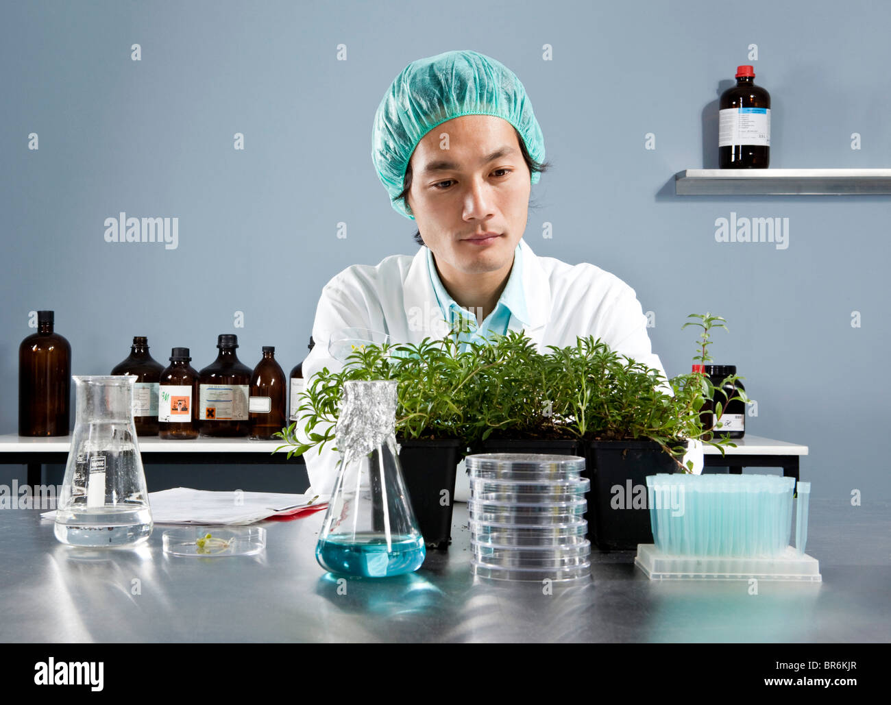 A lab technician staring intently at a plant in a laboratory Stock ...