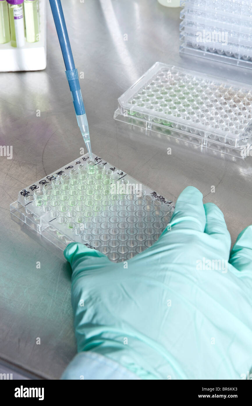 Test Tube Tray High Resolution Stock Photography and Images - Alamy