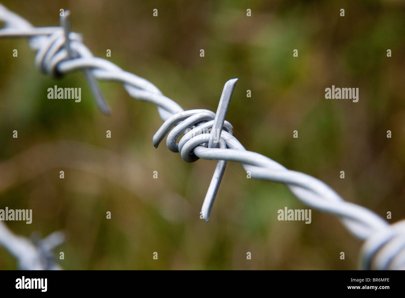 Barbed wiring hi-res stock photography and images - Alamy