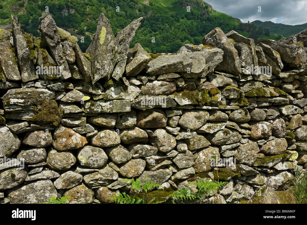 Drystone walling dry stone walling hi-res stock photography and images ...