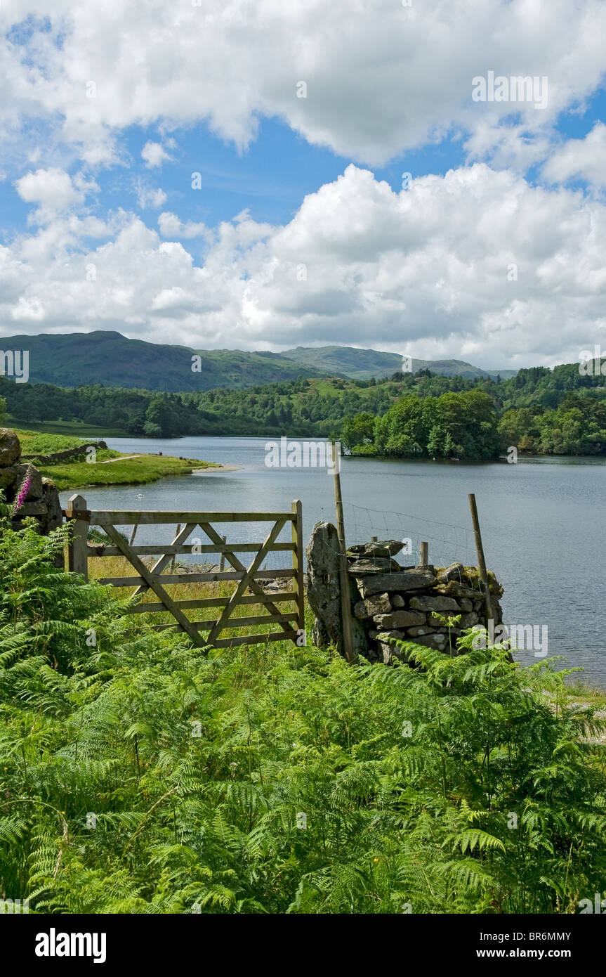 View across Rydal Water in summer near Ambleside Cumbria Lake District ...