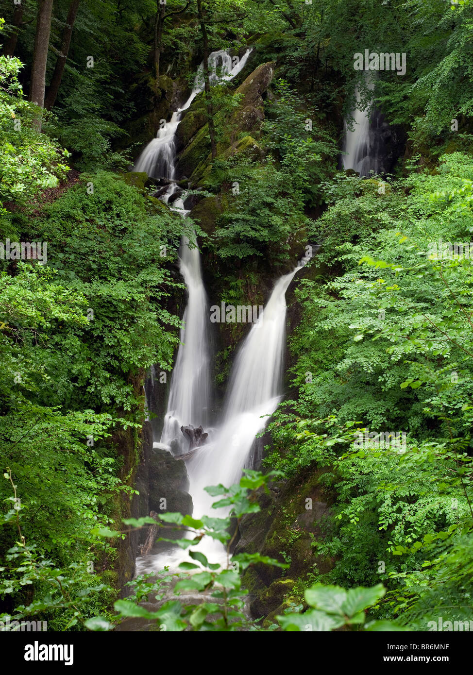 Stockghyll Force waterfalls near Ambleside in summer Cumbria Lake ...
