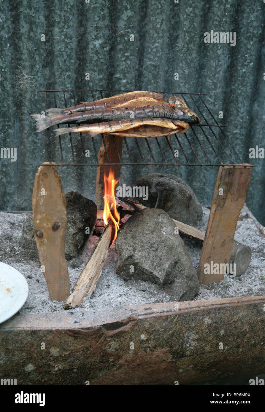 Cooked fish on a fire Stock Photo - Alamy