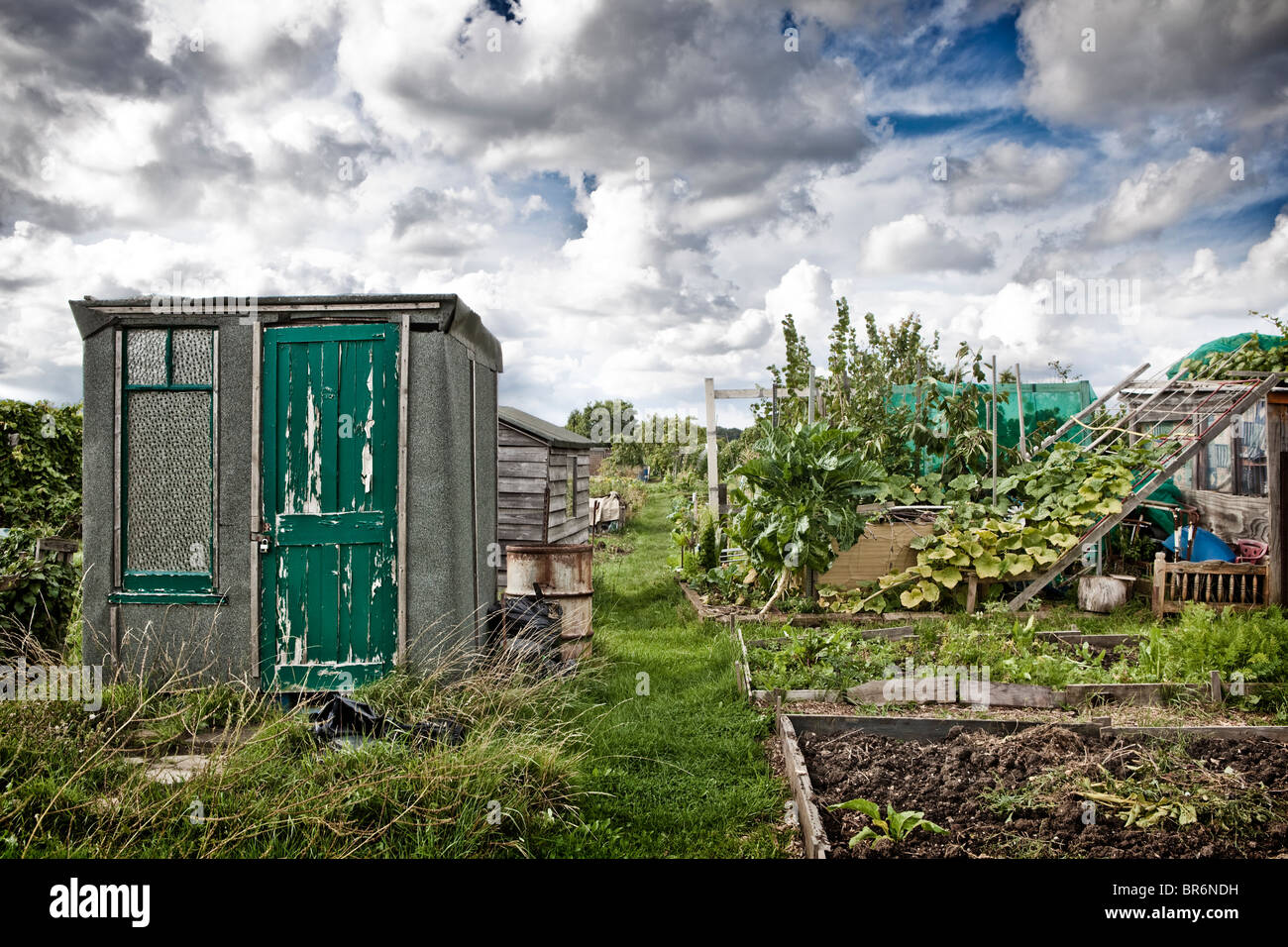 Allotment uk hi-res stock photography and images - Alamy