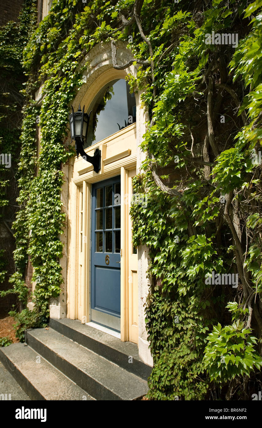 Entrance way architecture with green ivy Harvard Square Boston Stock ...