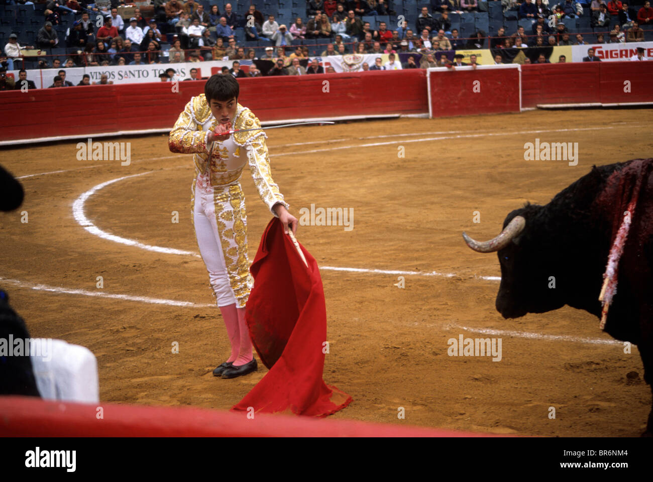 A matador and bull in Mexico City Bullfight Stock Photo - Alamy