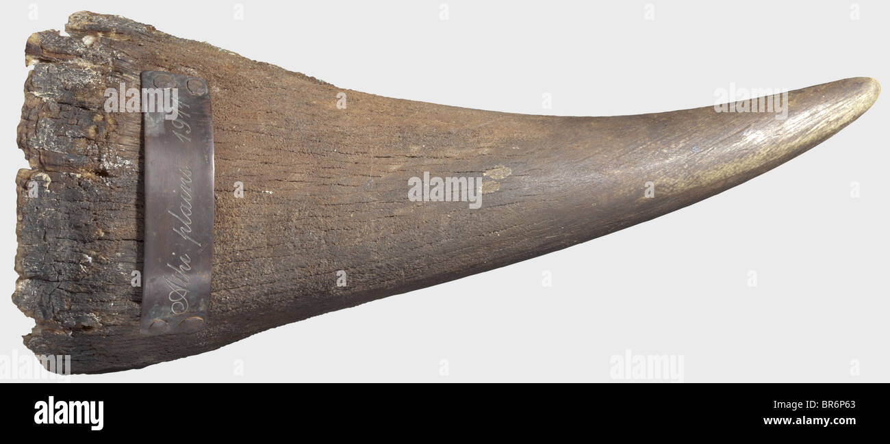 Athi plains 1911 hi-res stock photography and images - Alamy