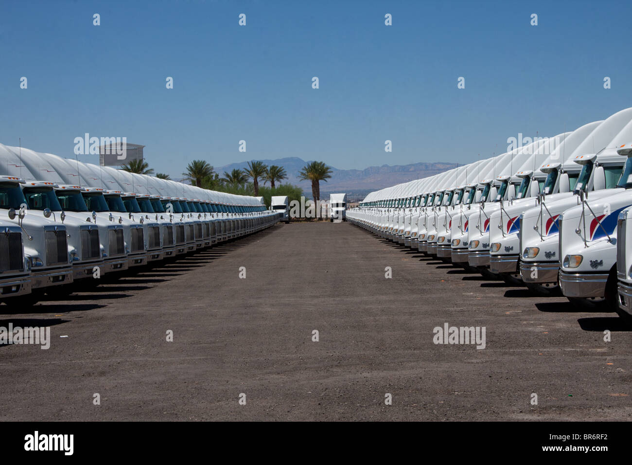 Semi truck fleet lined up in a row with copy space Stock Photo - Alamy