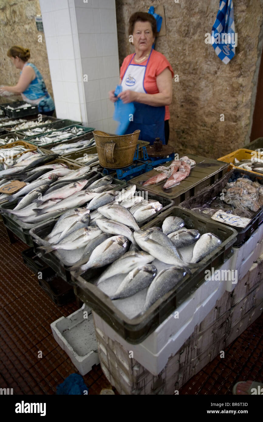 Fish for sale at the City Market (Pijaca). In most Dalmatian towns the ...