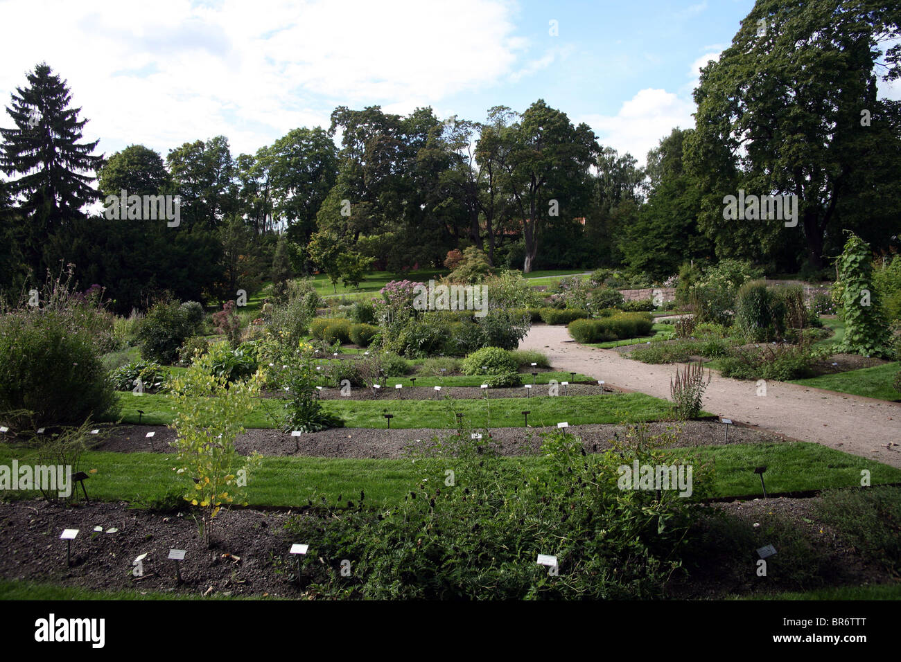Oslo botanical gardens hi-res stock photography and images - Alamy