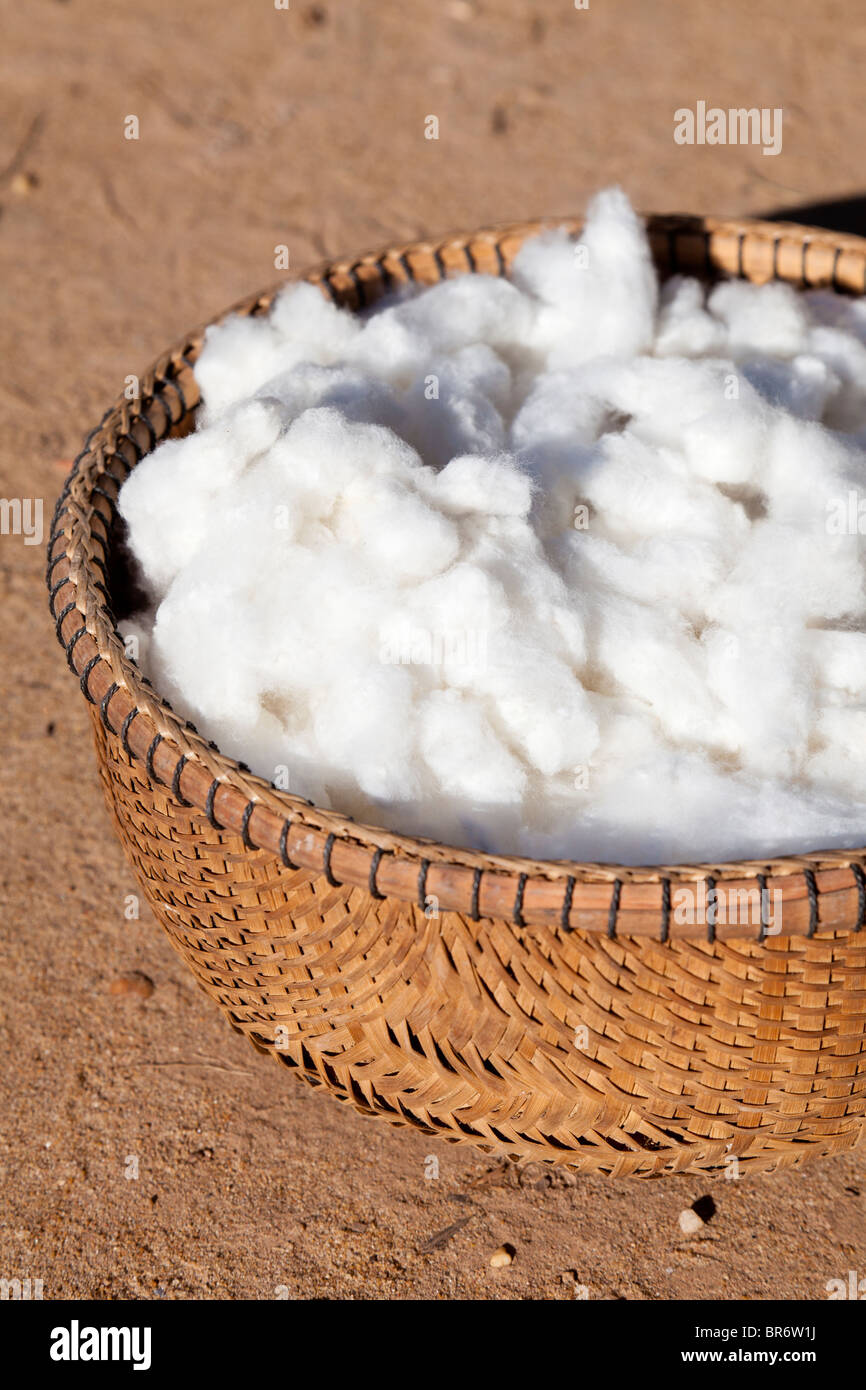 Raw cotton hi-res stock photography and images - Alamy