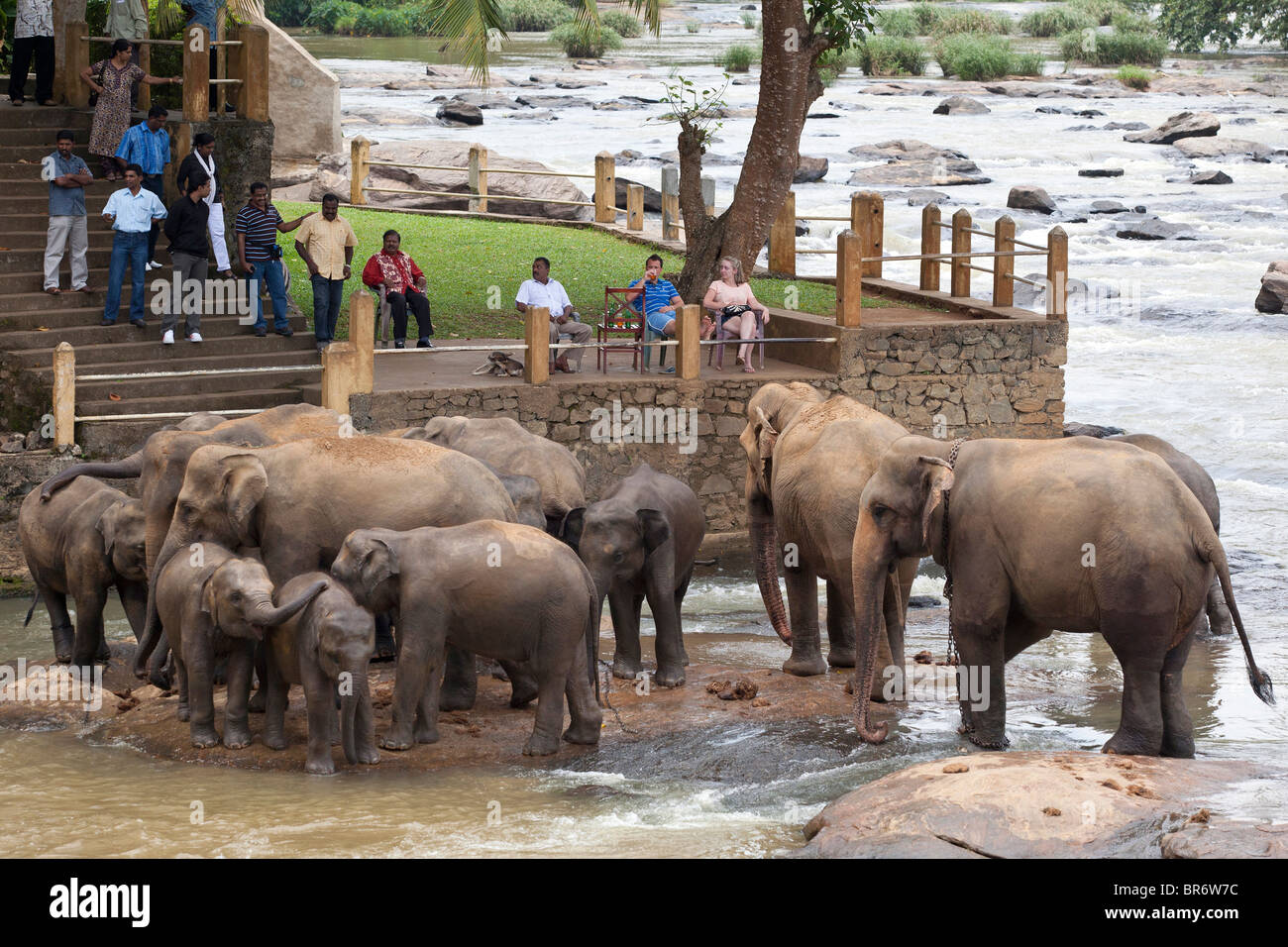Maha oya hi-res stock photography and images - Alamy