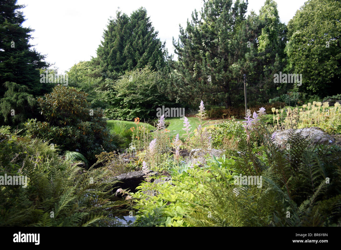 Oslo botanical gardens hi-res stock photography and images - Alamy