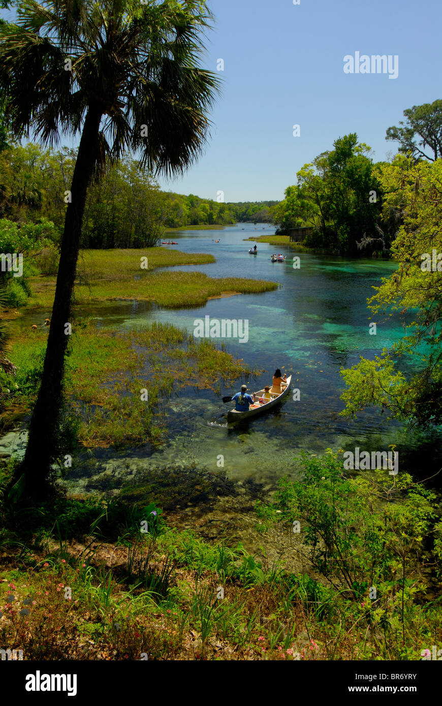 Peole canoeing on Rainbow River, Rainbow Springs State Park, Florida ...