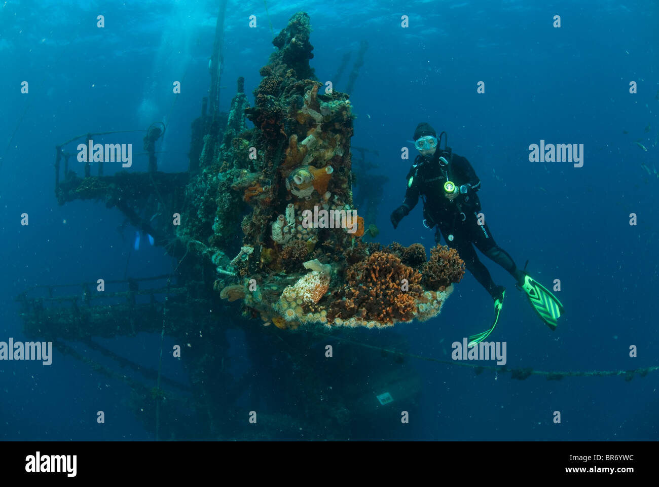Person diving the artifical reef which has developed on the sunken HMAS ...