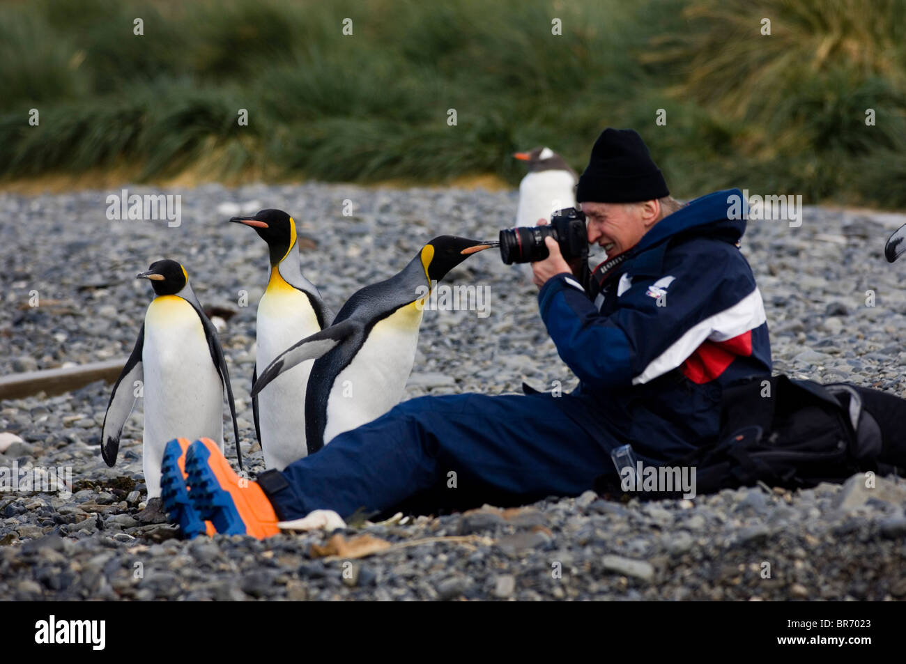 Jan eric osterlund hi-res stock photography and images - Alamy