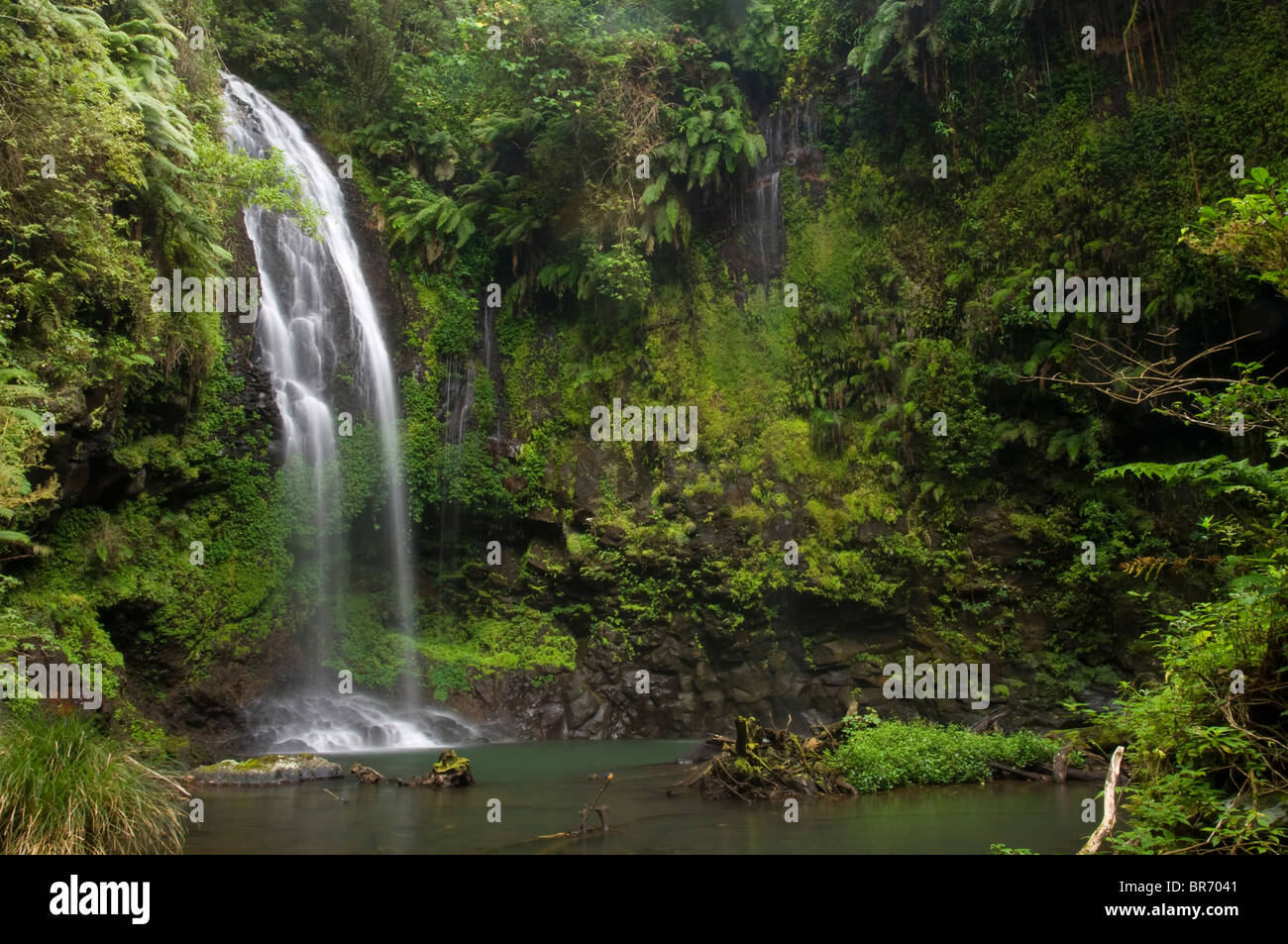 Cascade sacree / The sacred waterfall, Montagne d'Ambre National Park ...