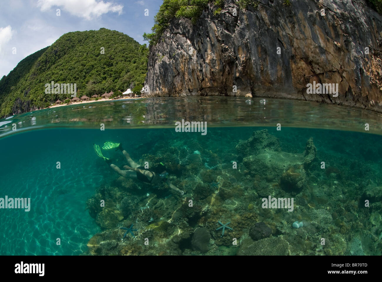 Split-level showing snorkeler, coral reef and limestone cliffs in the ...