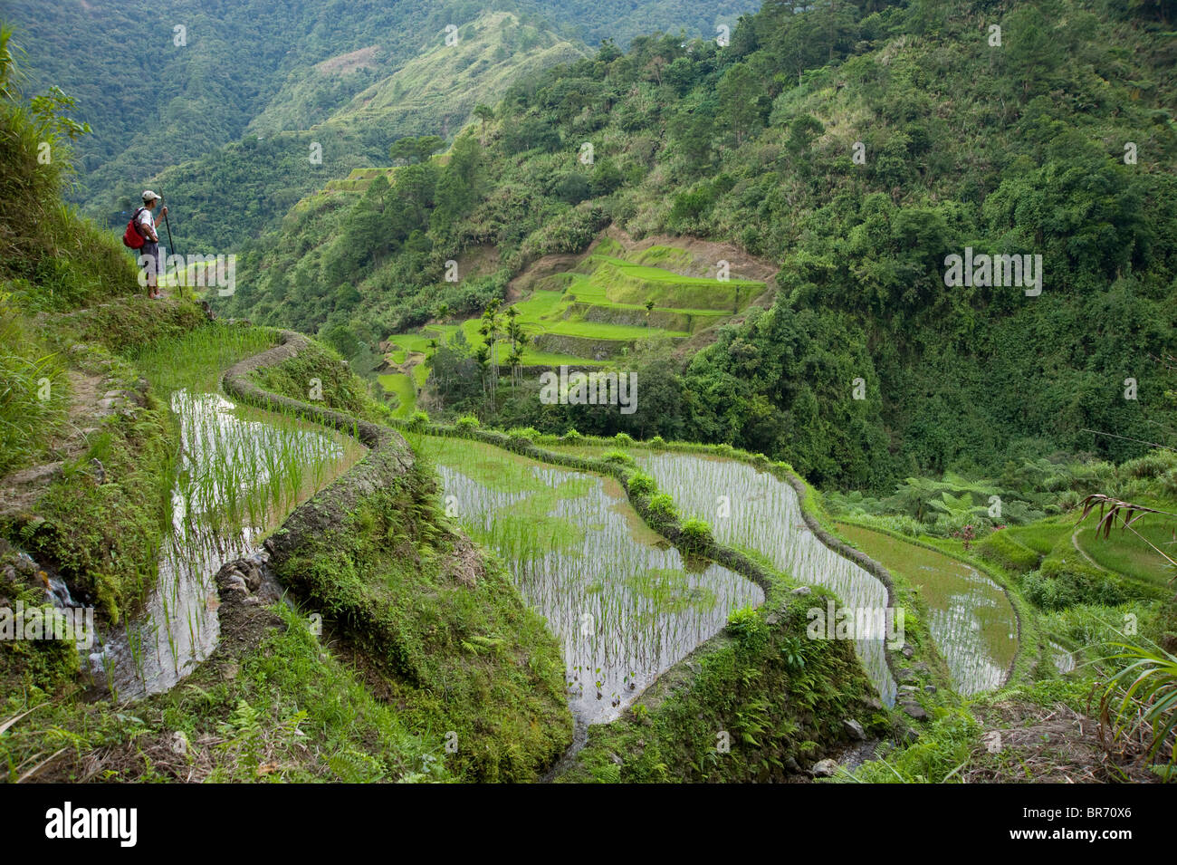 Banaue rice terraces philippines hi-res stock photography and images ...