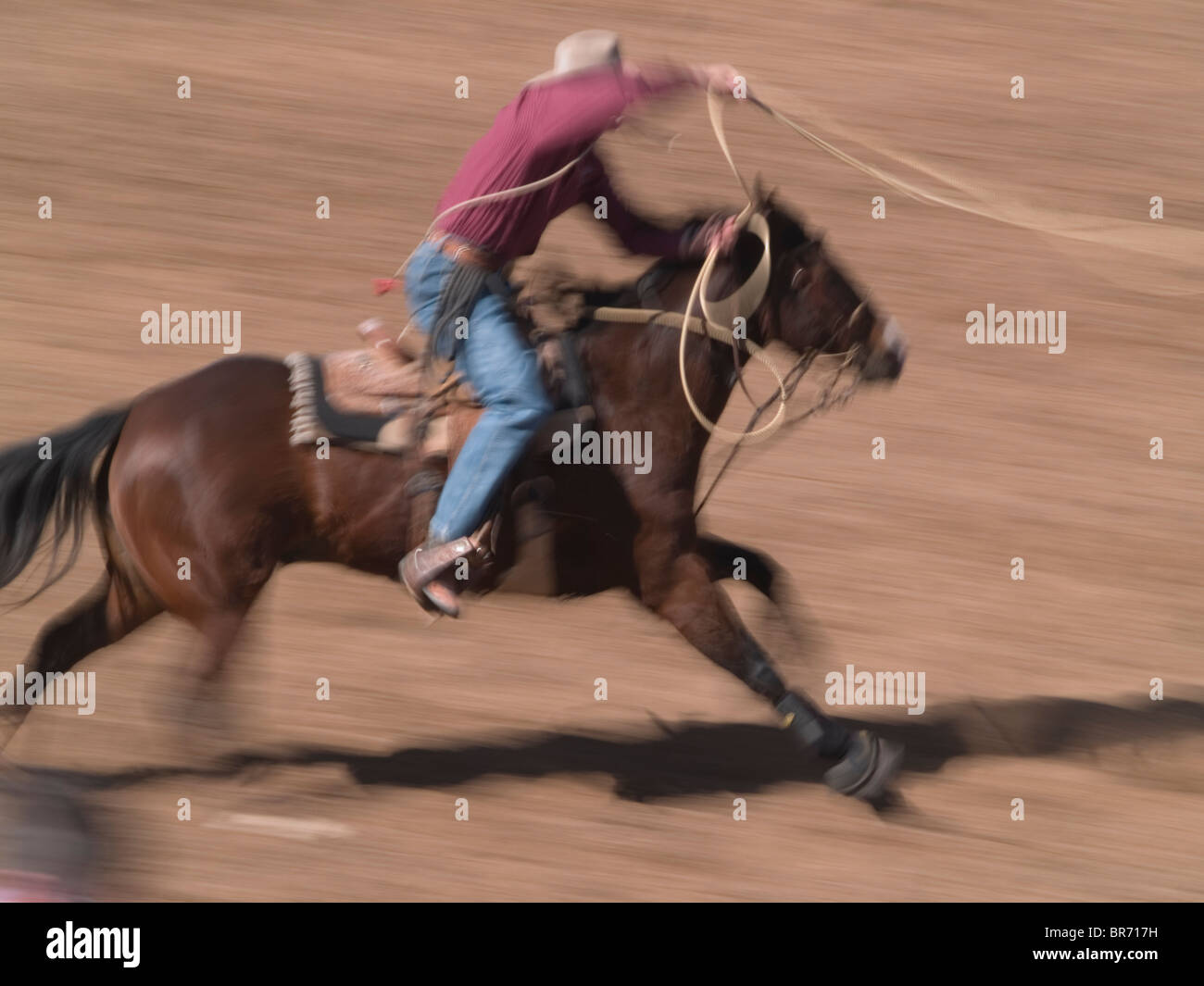 Arizona horse riding tucson hi-res stock photography and images - Alamy