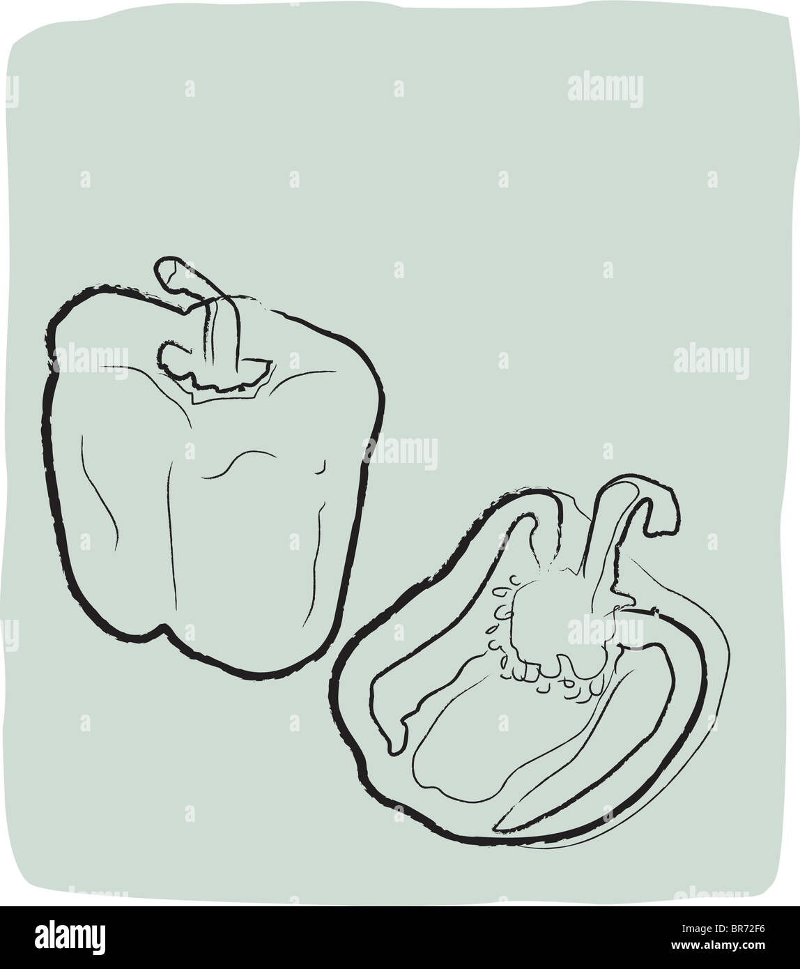 A textured line drawing of bell peppers Stock Photo - Alamy