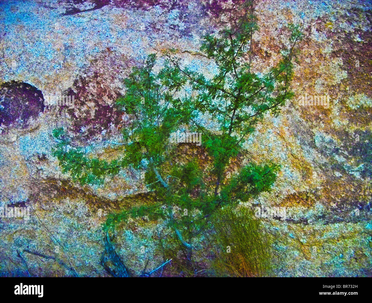 Nature abstract hi-res stock photography and images - Alamy