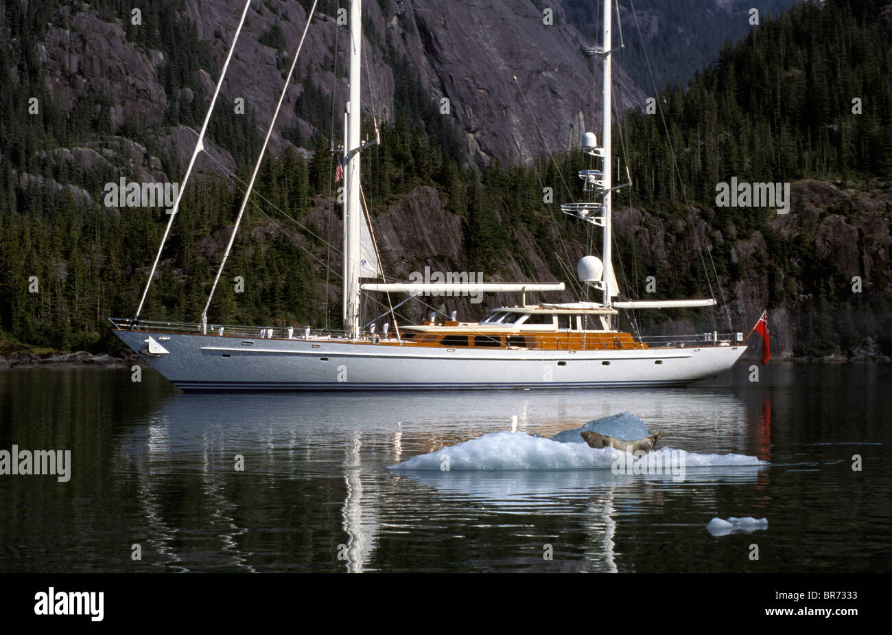 118ft S&S designed superyacht, "Timoneer", passes by a seal on an ...