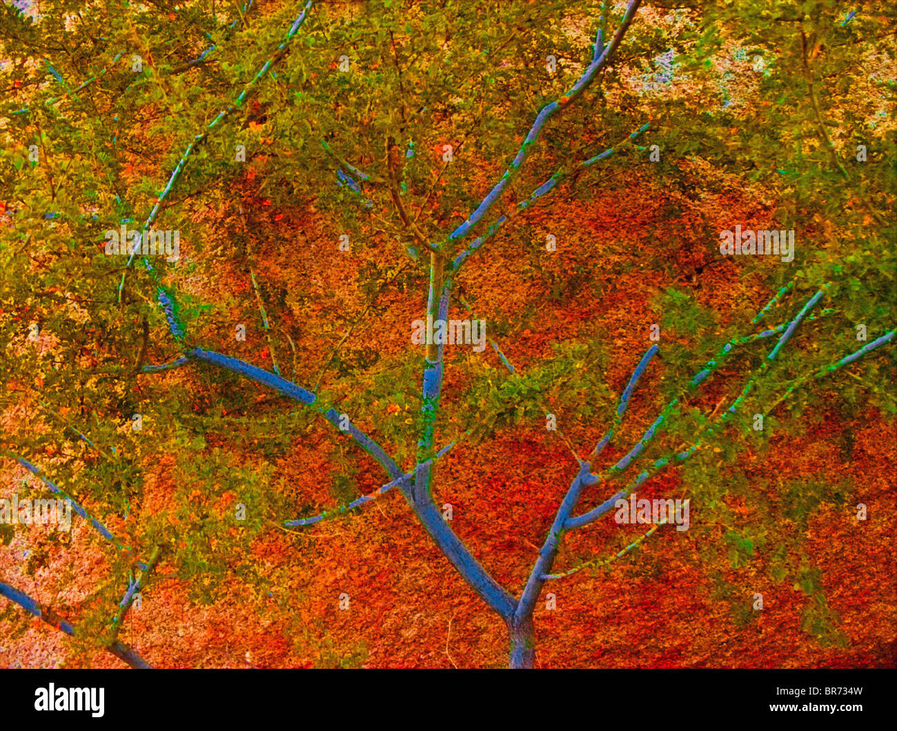 Abstract shadow colourful hi-res stock photography and images - Alamy