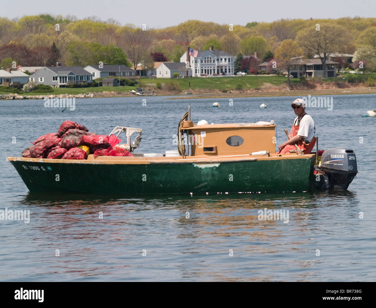 Quahogs hi-res stock photography and images - Alamy