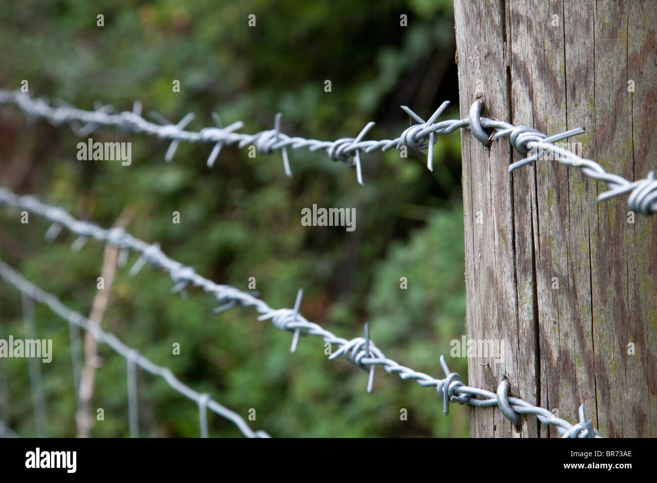 Barbed wiring hi-res stock photography and images - Alamy