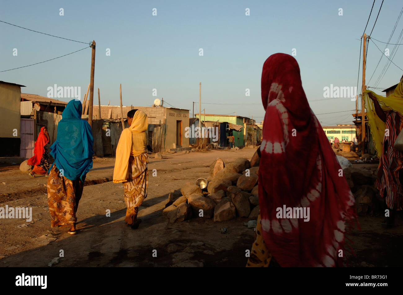 Khat shrub hi-res stock photography and images - Alamy