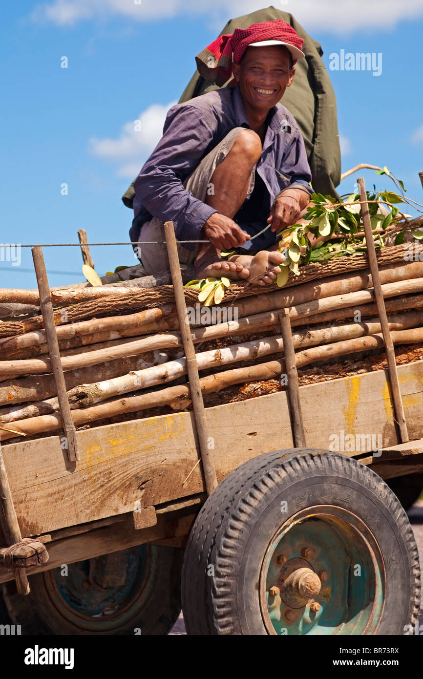 Cambodian rice farming hi-res stock photography and images - Alamy