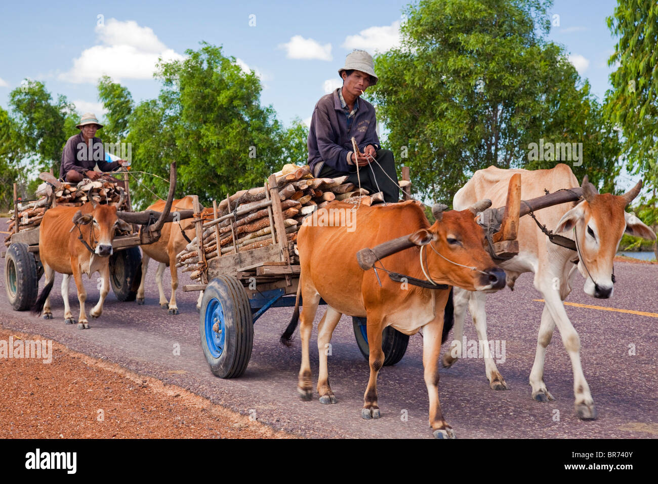 Farming in Cambodia Stock Photo - Alamy