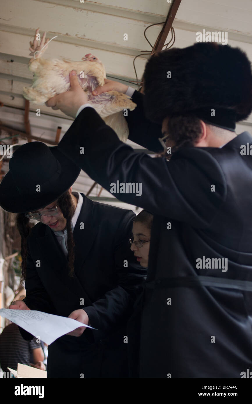 Just A Few Hours Ahead Of Yom Kippur Religious Jews Perform Kapparot