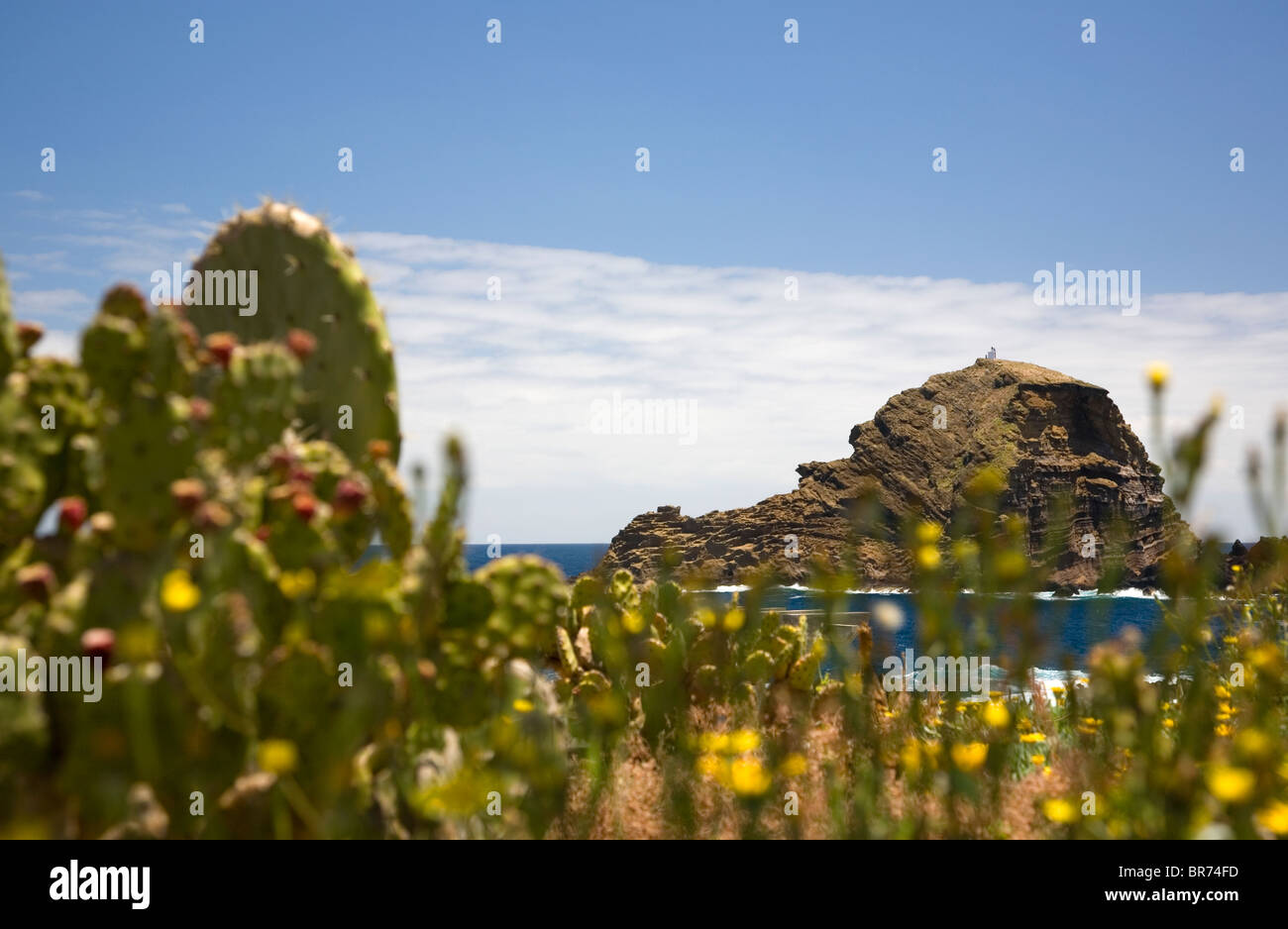 Ilhéu Mole in Port Moniz - Madeira Stock Photo - Alamy