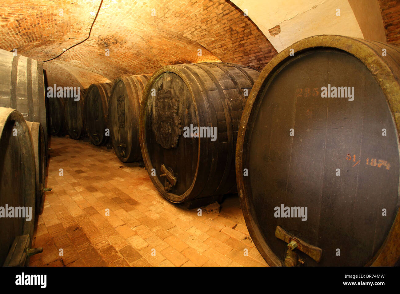 Narodny salon vin - the historic wine cellar in Pezinok, where the best ...