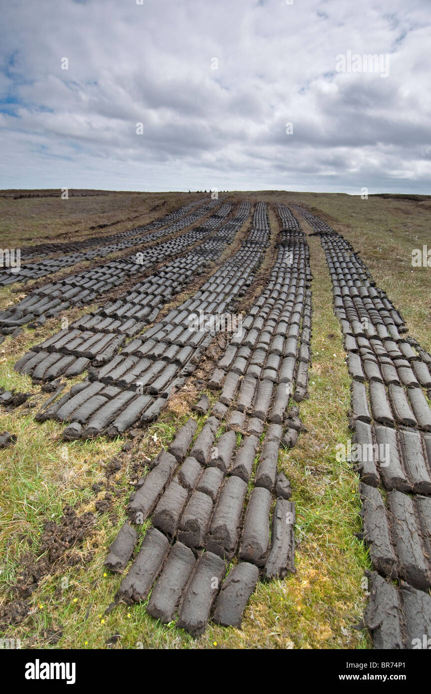 Peat Cutting Barvas, Isle of Lewis, Outer Hebrides, Highlands & Islands ...