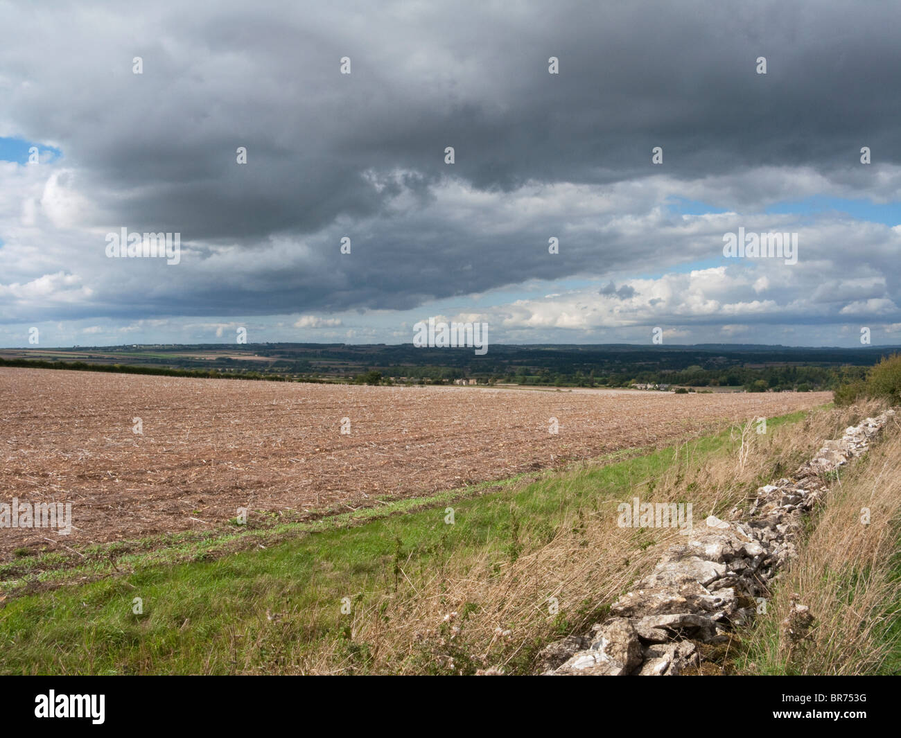 Shipton Down in the Cotswolds, Oxfordshire, England Stock Photo - Alamy