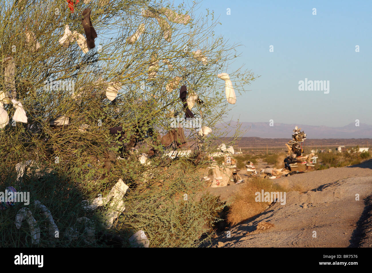 Folklore tree hi-res stock photography and images - Alamy