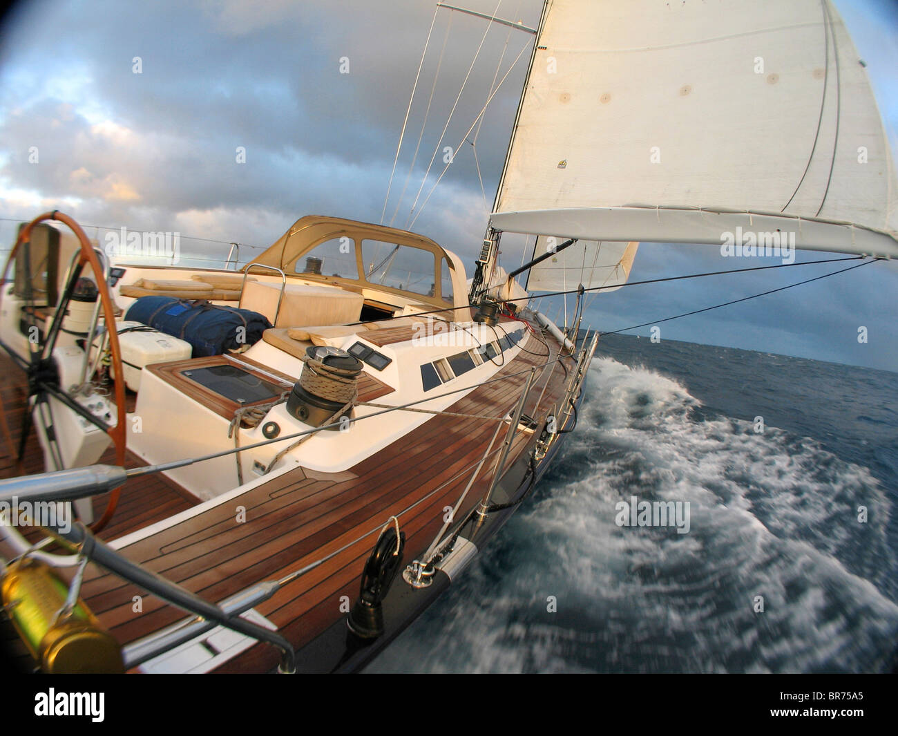 Swan 82 hi-res stock photography and images - Alamy