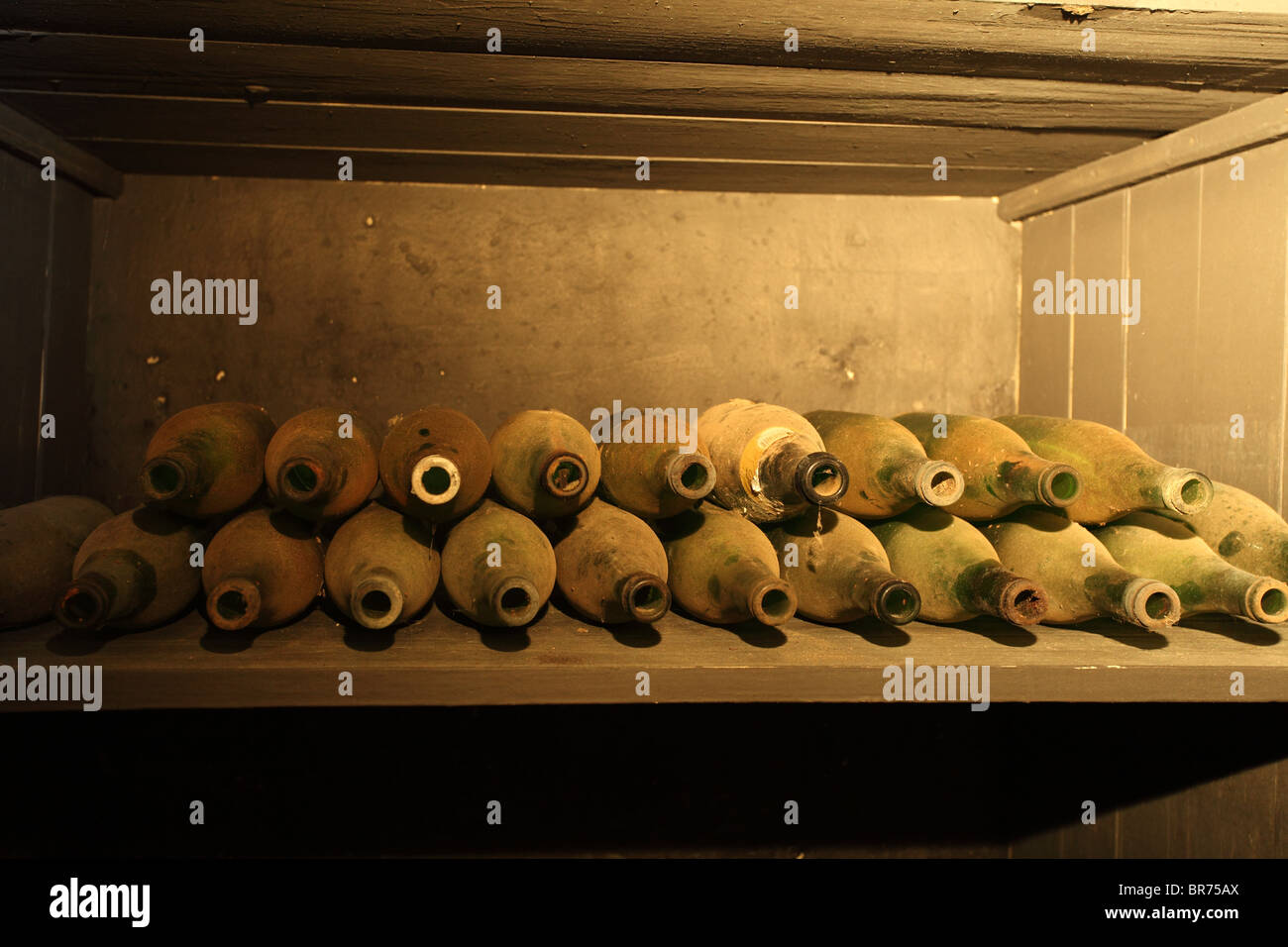 Narodny salon vin - the historic wine cellar in Pezinok, where the best ...