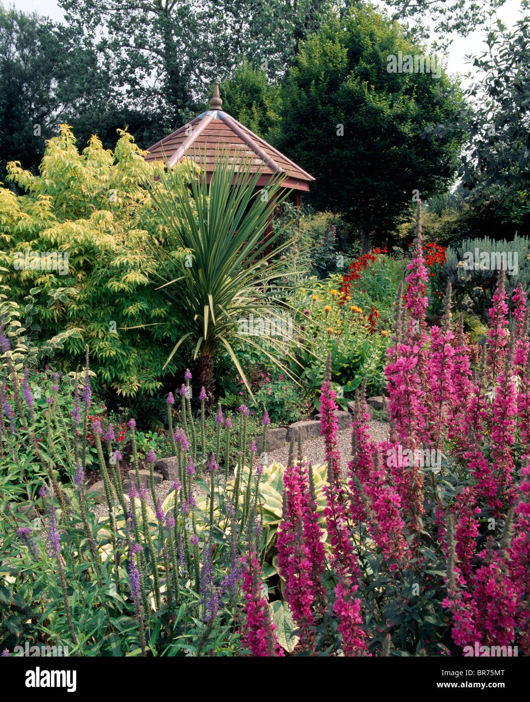 Laois county hi-res stock photography and images - Alamy