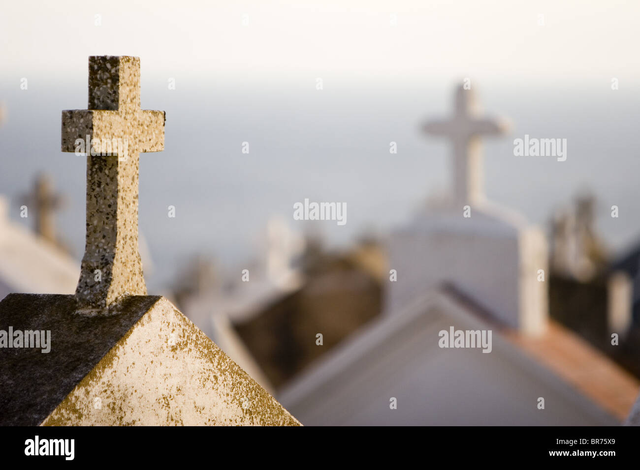 Cemetery corsica france black white cross crosses grave yard death hi ...