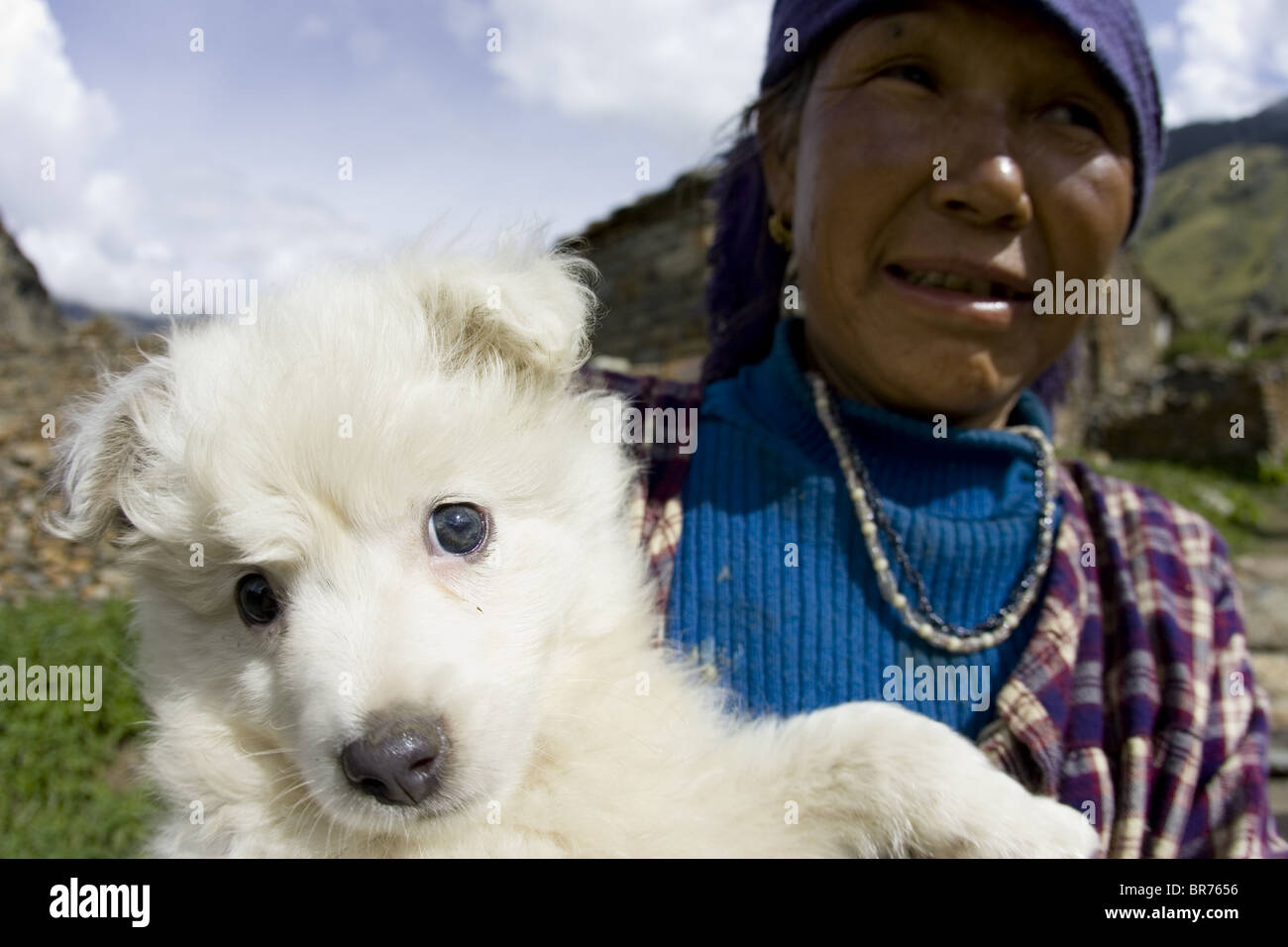 India local people locals mountains village portrait dog hi-res stock ...
