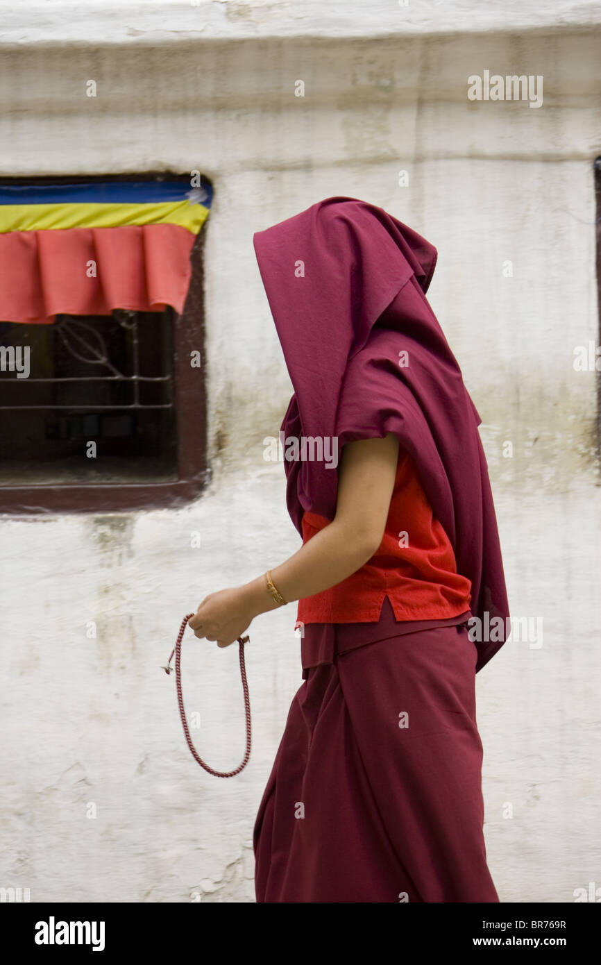 Buddhist monk in monastary Nepal Stock Photo - Alamy
