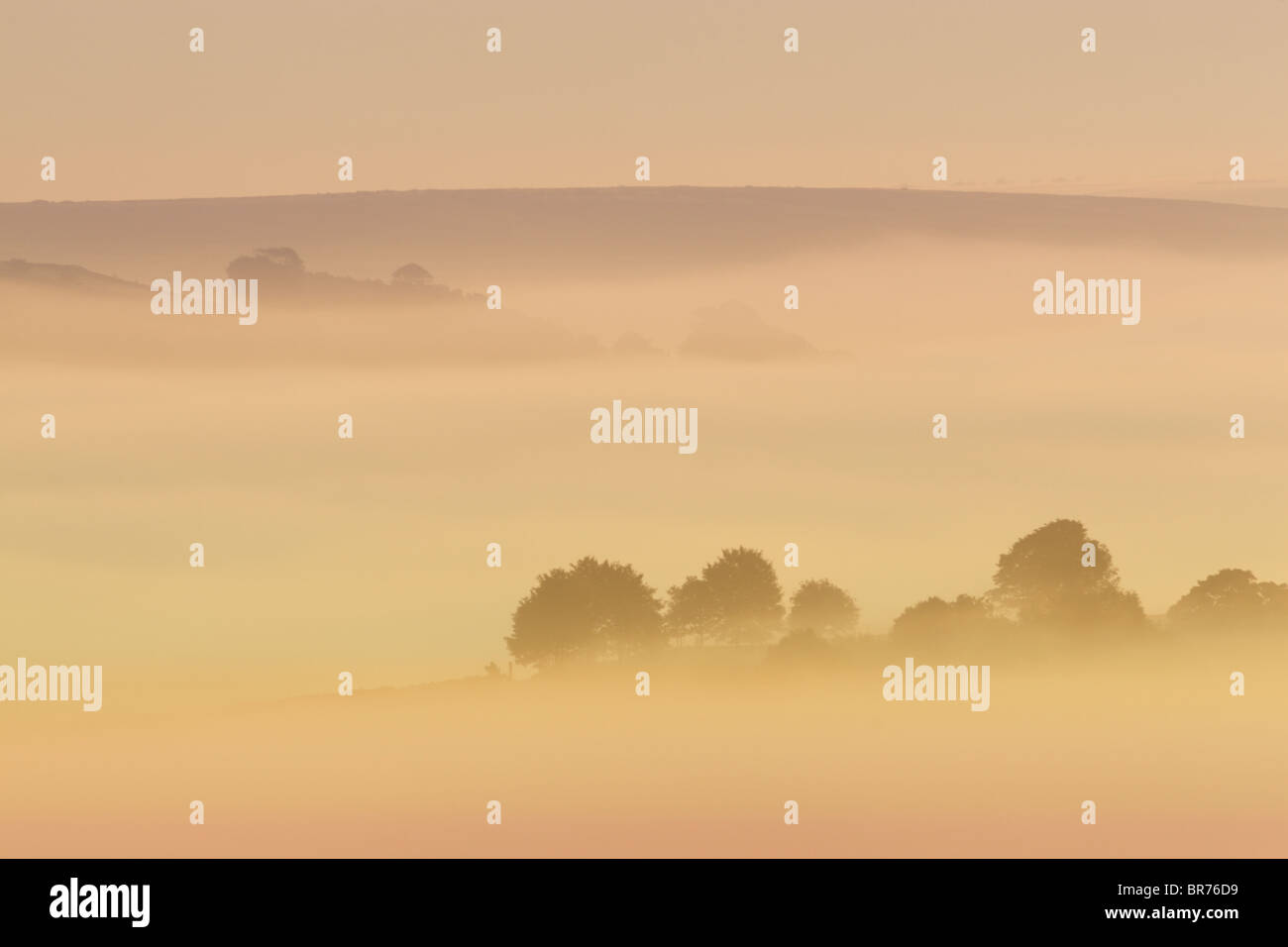 Misty moors hi-res stock photography and images - Alamy