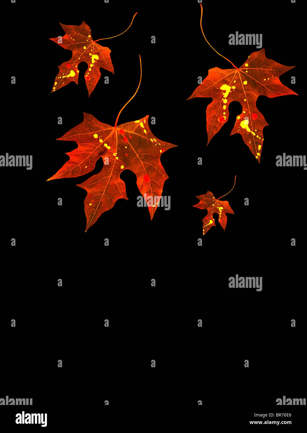 Leaves falling hi-res stock photography and images - Alamy
