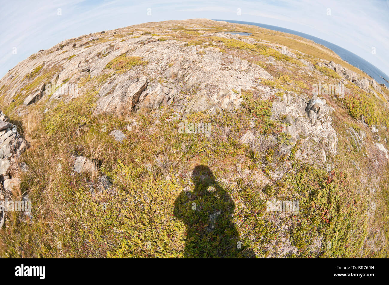 Newfoundland barrens hi-res stock photography and images - Alamy
