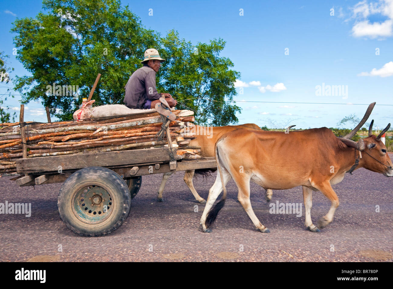 Farming in Cambodia Stock Photo - Alamy